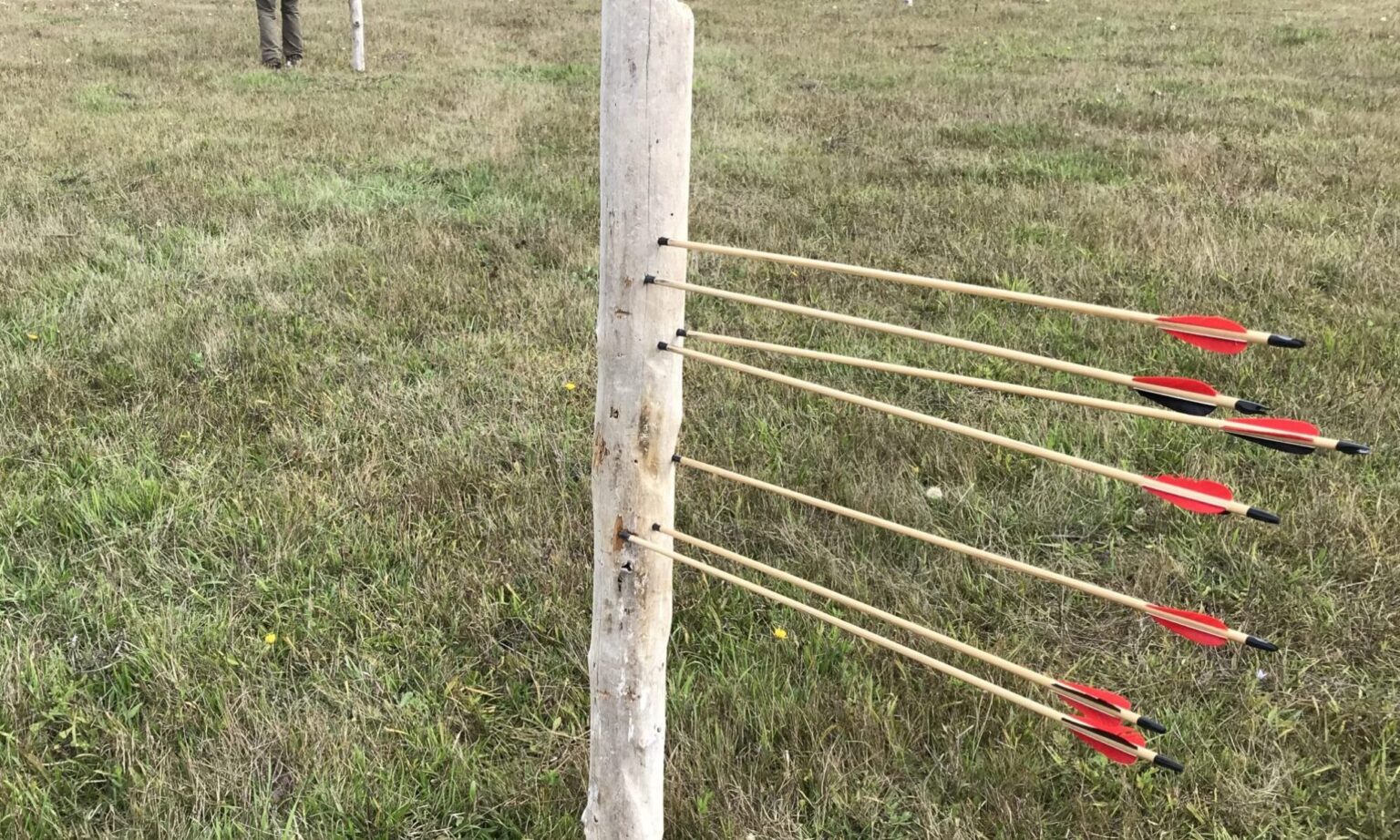 Moonbow Archery – The Recognized Experts in Instinctive-Style Archery ...